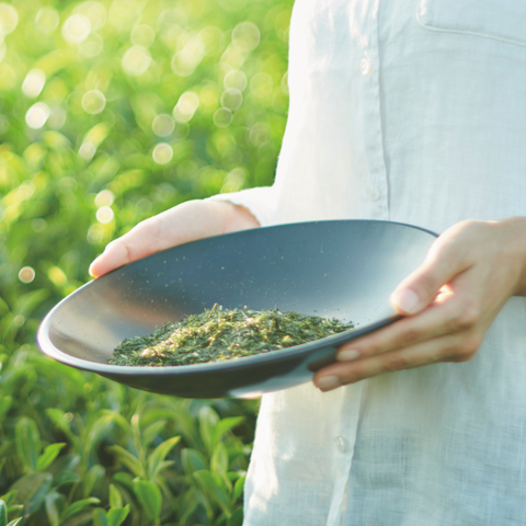 CHAKA – かねはち茶園